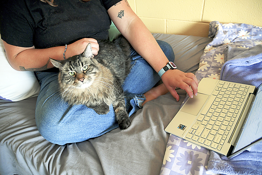 Universities welcoming pets in dorms | News, Sports, Jobs - Altoona Mirror